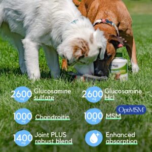 LIQUIDHEALTH 32 Oz K9 Liquid Glucosamine for Dogs Level 5000 with Glucosamine Chondroitin, Dogs MSM, Boswellia Serrata – Dog Hip and Joint Health, Dog Vitamins for Dog Joint Pain, Dog Joint Oil