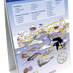 NewPath Learning - 34-6305 10 Piece Food Chains/Food Webs Curriculum Mastery Flip Chart Set, Grade 5-10