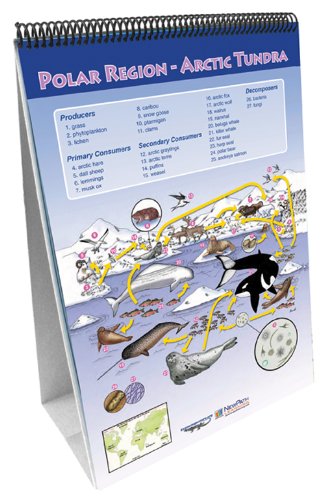 NewPath Learning - 34-6305 10 Piece Food Chains/Food Webs Curriculum Mastery Flip Chart Set, Grade 5-10