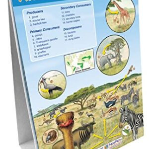 NewPath Learning - 34-6305 10 Piece Food Chains/Food Webs Curriculum Mastery Flip Chart Set, Grade 5-10