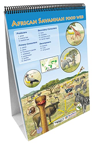 NewPath Learning - 34-6305 10 Piece Food Chains/Food Webs Curriculum Mastery Flip Chart Set, Grade 5-10