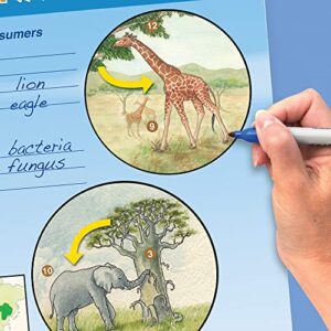 NewPath Learning - 34-6305 10 Piece Food Chains/Food Webs Curriculum Mastery Flip Chart Set, Grade 5-10