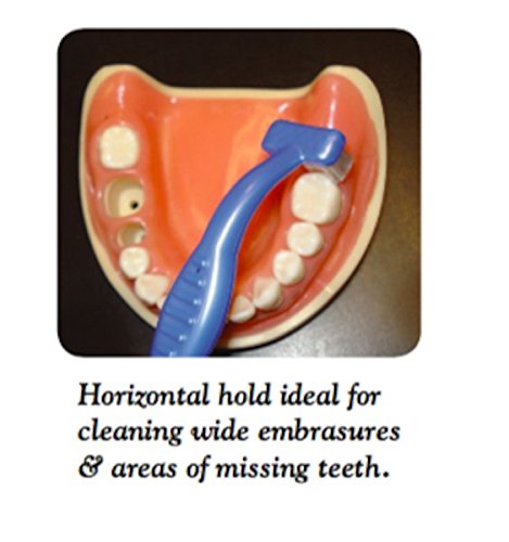 Curvex II Toothbrush