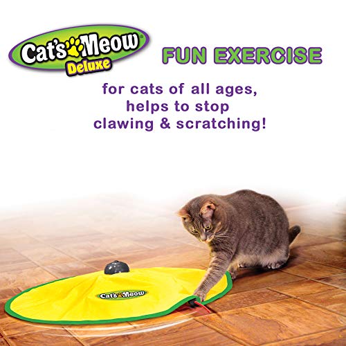 Cat's Meow- Motorized Wand Cat Toy, Automatic 30 Minute Shut Off, 3 Speed Settings, The Toy Your Cat Can't Resist