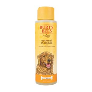 burt's bees for pets oatmeal dog shampoo | with colloidal oat flour & honey | moisturizing & nourishing, cruelty free, sulfate & paraben free, ph balanced for dogs - made in usa, 16 oz