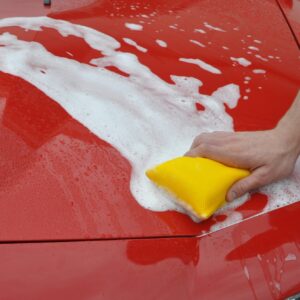 Detailer's Preference Microfiber Bug Scrubber Sponge