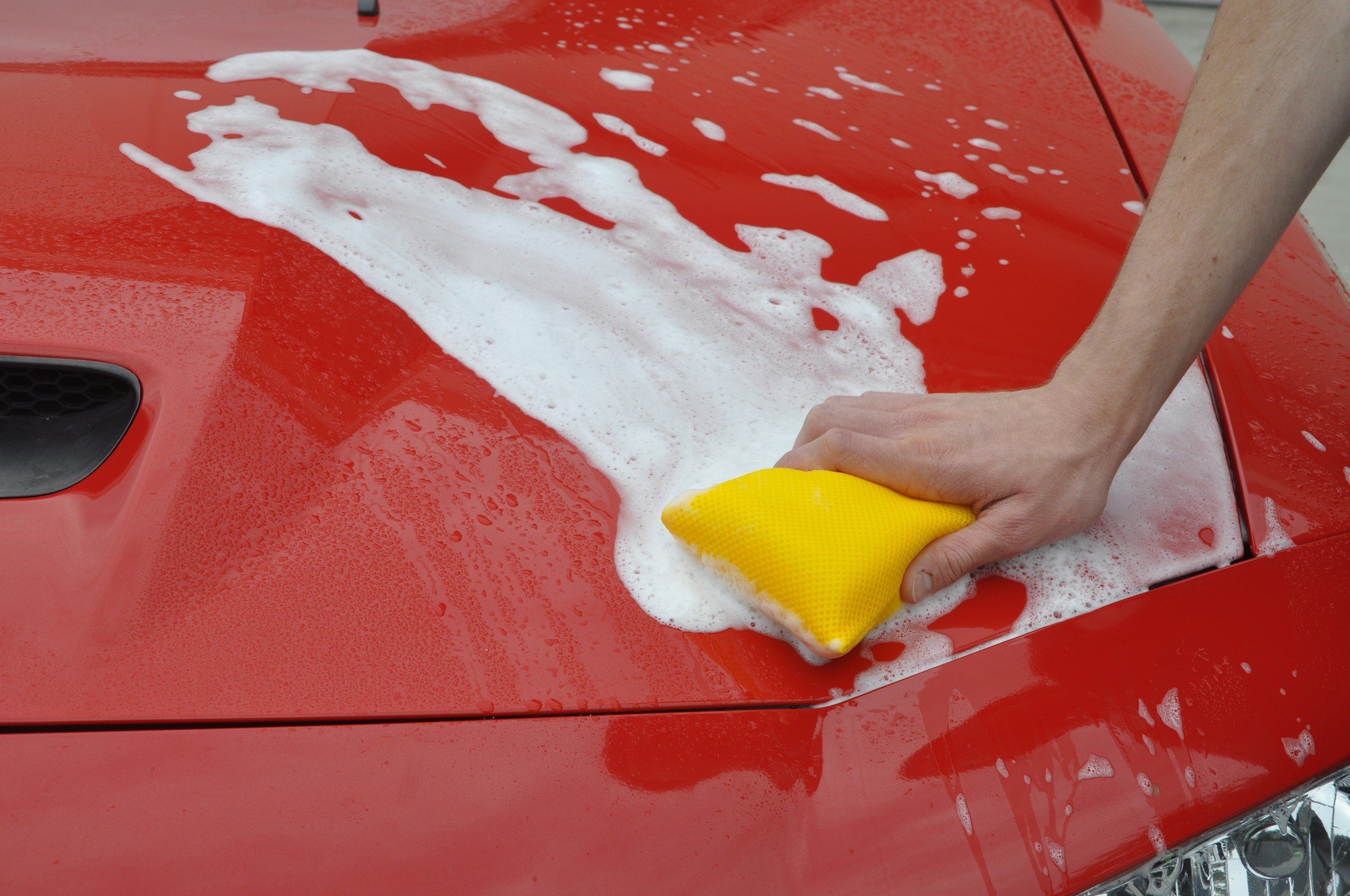 Detailer's Preference Microfiber Bug Scrubber Sponge