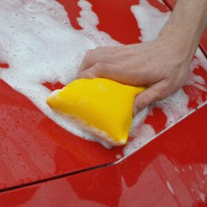 Detailer's Preference Microfiber Bug Scrubber Sponge