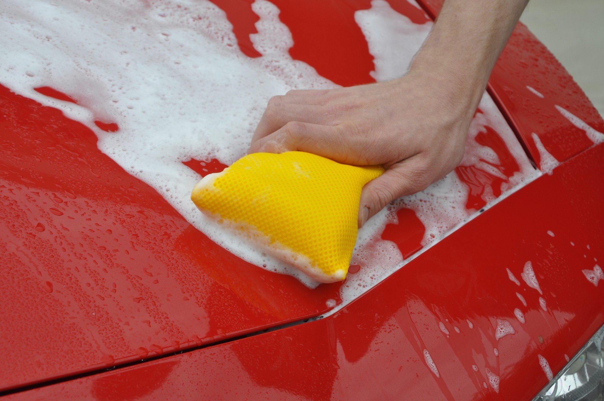 Detailer's Preference Microfiber Bug Scrubber Sponge