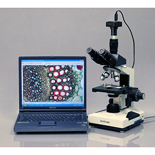 AmScope T490 Compound Trinocular Microscope, WF10x Eyepieces, 40X-1000X Magnification, Brightfield, Halogen Illumination, Abbe Condenser, Double-Layer Mechanical Stage, Sliding Head, High-Resolution Optics