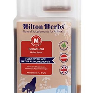 Hilton Herbs Releaf Gold Herbal Mobility Supplement for Horses, 2.1pt Bottle