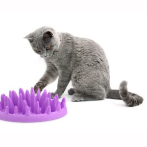 The Company of Animals CATCH Interactive Feeder, Purple