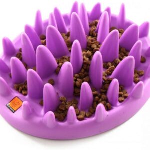 The Company of Animals CATCH Interactive Feeder, Purple