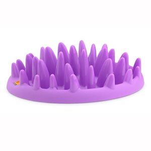 The Company of Animals CATCH Interactive Feeder, Purple