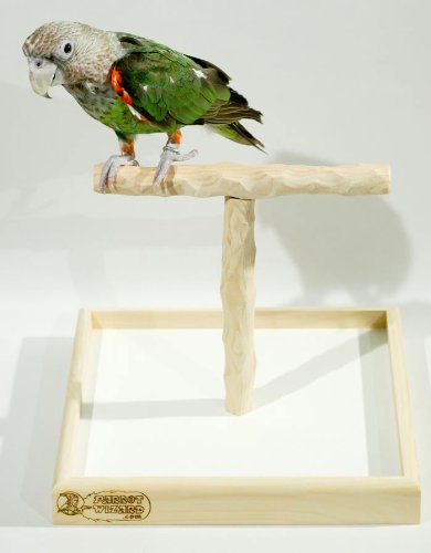 Deluxe Tabletop NU Perch - Parrot T Perch Stand