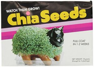 chia seed pack, 3 count(chia pet not included)