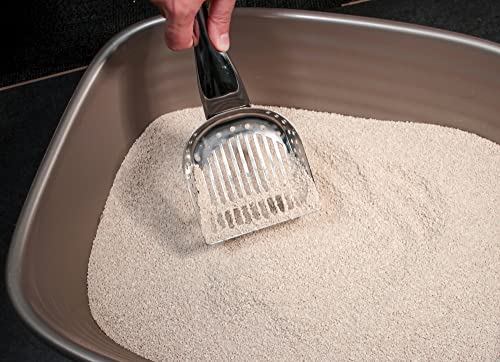 RSVP International Endurance Collection Stainless Steel Kitty Litter Scoop, 4.75x2.5x11.25