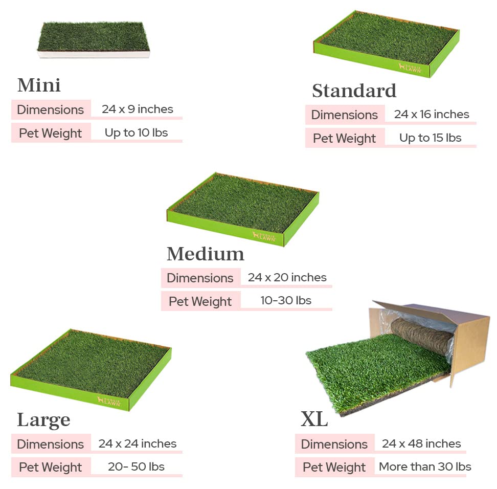 DoggieLawn Dog Potty - Real Grass - XLarge 24x48 inches