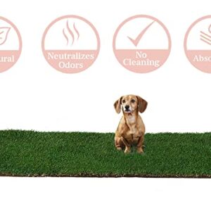 DoggieLawn Dog Potty - Real Grass - XLarge 24x48 inches