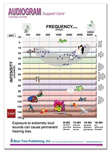 Audiogram Anatomical Chart Laminated Card for Audiologist and Hearing