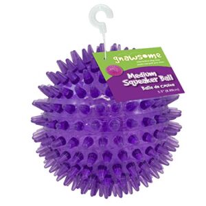 gnawsome medium squeaker ball dog toy, medium 3.5", colors will vary, all breed sizes