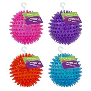 Gnawsome Medium Squeaker Ball Dog Toy, Medium 3.5", Colors will vary, All Breed Sizes