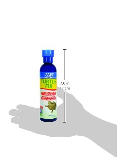 API TURTLE FIX Turtle Remedy 8-Ounce Bottle