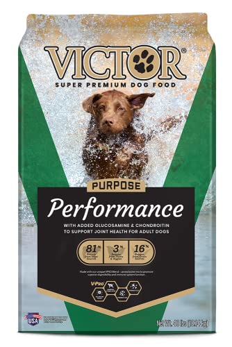 Victor Super Premium Dog Food – Performance Dry Dog Food – 26% Protein for Active Adult Dogs – Includes Glucosamine and Chondroitin for Hip and Joint Health, 40lbs