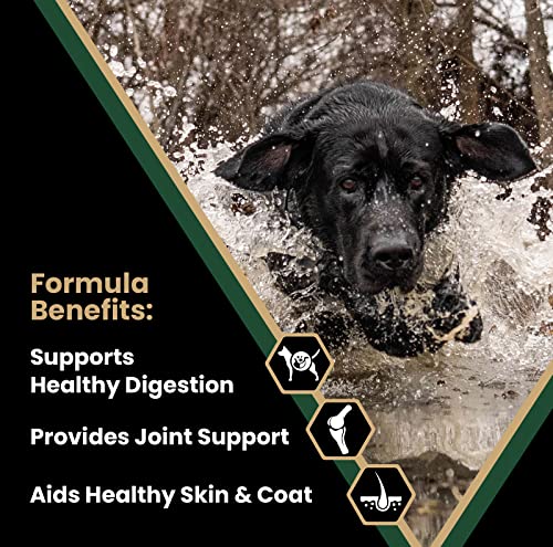 Victor Super Premium Dog Food – Performance Dry Dog Food – 26% Protein for Active Adult Dogs – Includes Glucosamine and Chondroitin for Hip and Joint Health, 40lbs