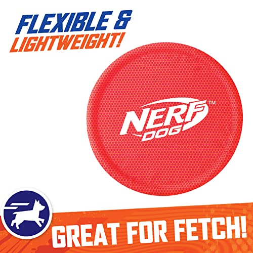 Nerf Dog Nylon Flyer Dog Toy, Flying Disc, Lightweight, Durable and Water Resistant, Great for Beach and Pool, 9 inch Diameter, for Medium/Large Breeds, Single Unit, Red