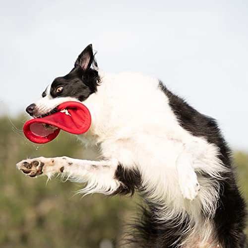 Nerf Dog Nylon Flyer Dog Toy, Flying Disc, Lightweight, Durable and Water Resistant, Great for Beach and Pool, 9 inch Diameter, for Medium/Large Breeds, Single Unit, Red