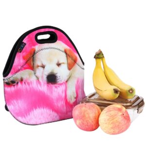 icolor Pink Dog Soft Friendly Insulated Lunch box - Bag Neoprene Handbag lunchbox Cooler warm Pouch Tote bag