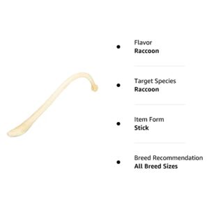 Clear Creek Trading Raccoon Penile Bone