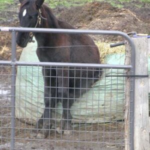 Big Bale Buddy Large