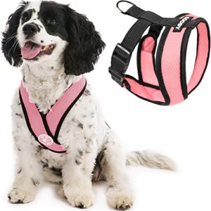 gooby comfort x head in harness - pink, small - no pull small dog harness patented choke-free x frame - perfect on the go dog harness for medium dogs no pull or small dogs for indoor and outdoor use