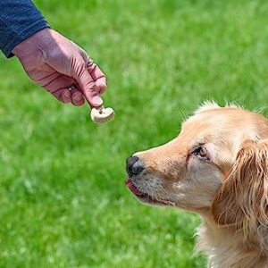 Mattie's Treats: 1 Pound Box; Low Protein, Low Phosphorus, Low Sodium Dog Treats