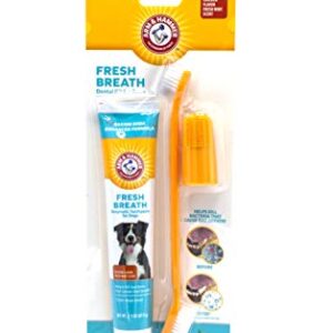 Arm & Hammer for Pets Fresh Breath Kit for Dogs | Contains Toothpaste, Toothbrush & Fingerbrush | Reduces Plaque & Tartar Buildup | Safe for Puppies, 3-Piece Kit, Chicken Flavor