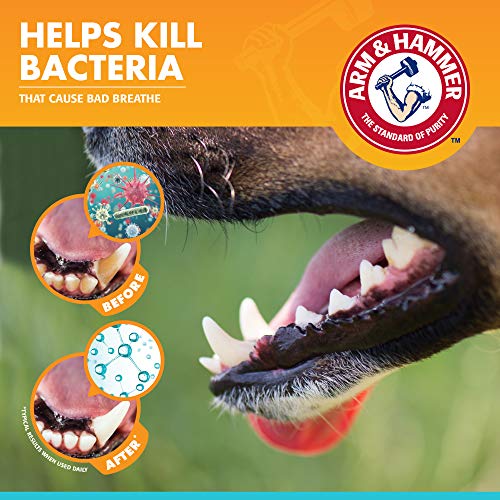 Arm & Hammer for Pets Fresh Breath Kit for Dogs | Contains Toothpaste, Toothbrush & Fingerbrush | Reduces Plaque & Tartar Buildup | Safe for Puppies, 3-Piece Kit, Chicken Flavor