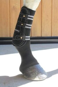 equifit horsesox