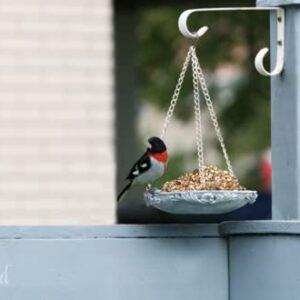 Better Bird Beautiful Bird Food, 17 Lb