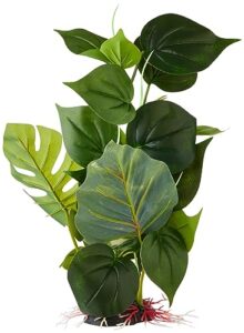 fluval anubias plant for aquarium, 12-inch