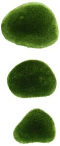 fluval decor 3 moss stones for aquarium, small