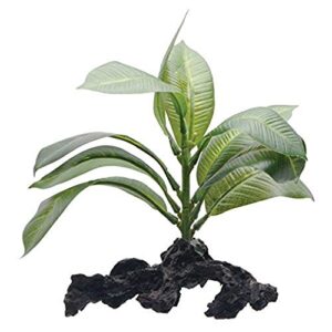 fluval stemped anubias plant for aquarium, 7-inch