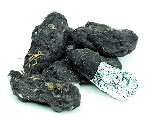 Barn Owl Pellets - Large - Pack of 6