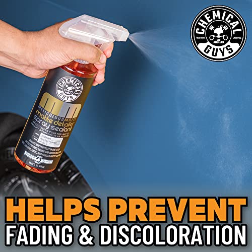 Chemical Guys SPI_995_16 Meticulous Matte Detailer and Spray Sealant, 16 oz, Orange