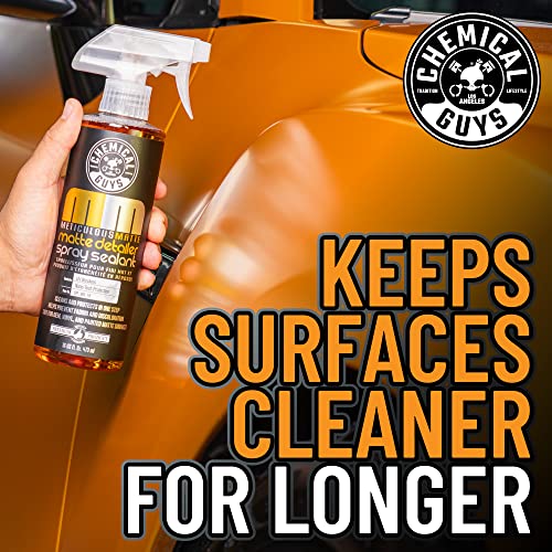 Chemical Guys SPI_995_16 Meticulous Matte Detailer and Spray Sealant, 16 oz, Orange