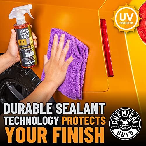 Chemical Guys SPI_995_16 Meticulous Matte Detailer and Spray Sealant, 16 oz, Orange