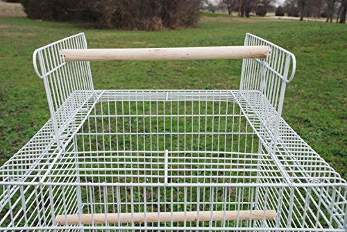 57" Rolling Standing Medium Dome Bird Cage Open Top Quaker Parrot Cockatiel Sun Parakeet Green-Cheek Conure Canary Lovebird Budgie Parrotlet Finch Cage with Detachable Stand