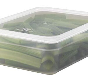 Cambro (24PP190) Half-Size Translucent Food Pan