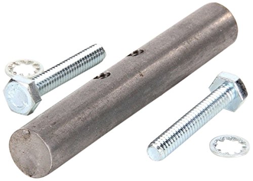 Blodgett 21433 Hinge Pin and Screws